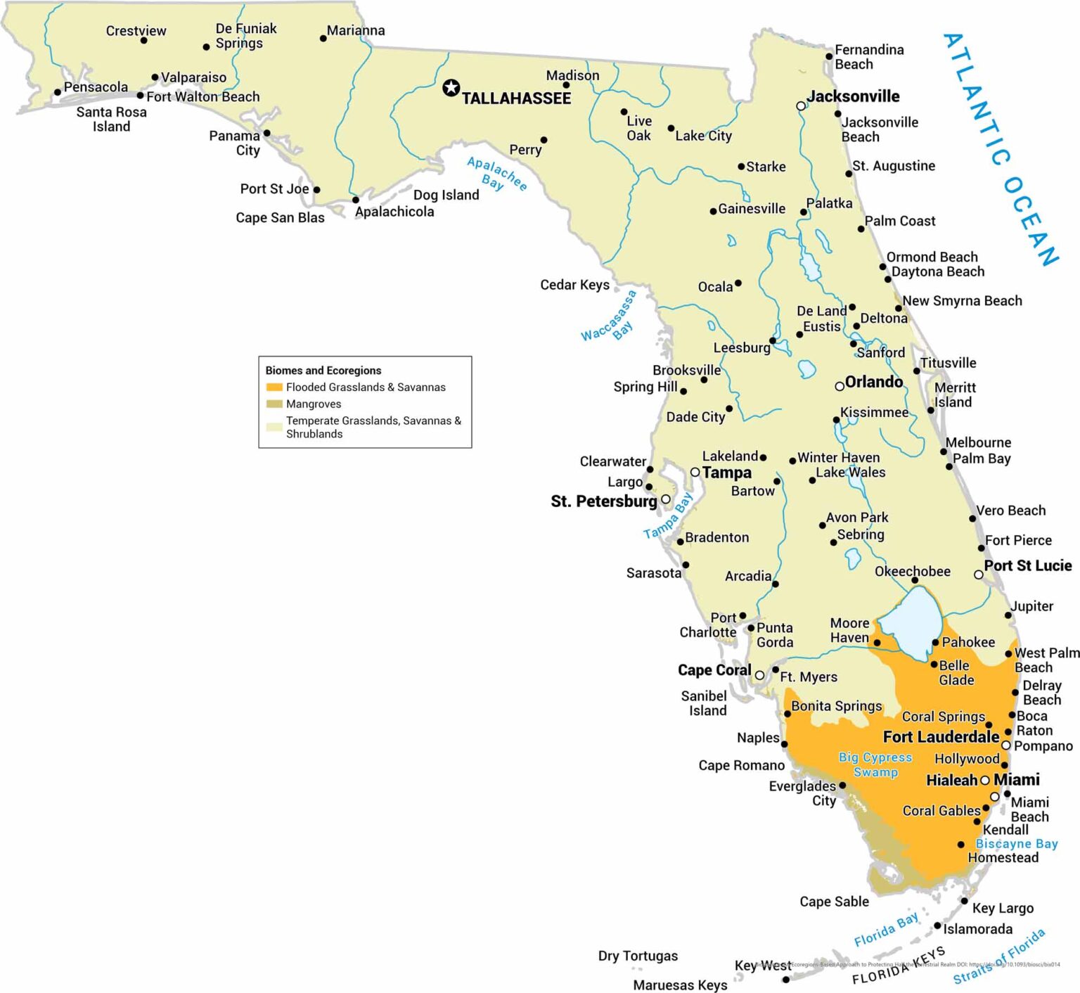 Map of Naples, Florida - US Maps