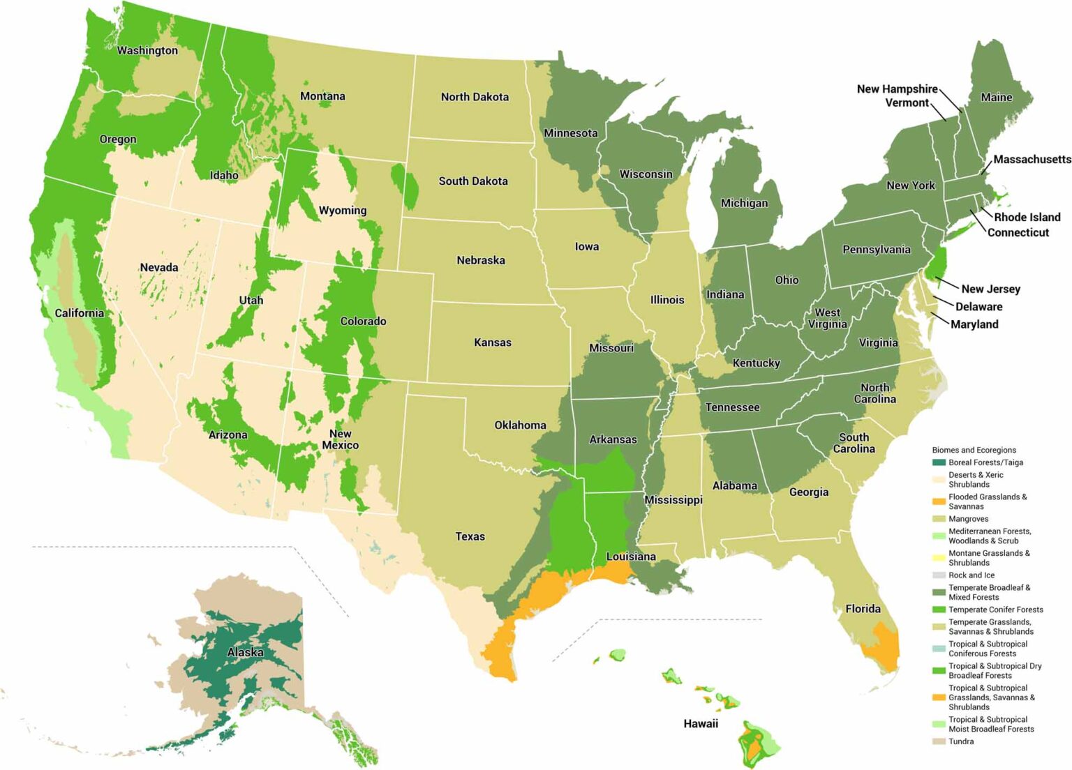 US Biomes Map - US Maps
